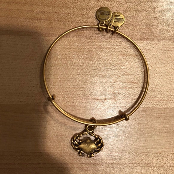 Alex and Ani | Jewelry | Rare Alex And Ani Crab Bangle | Poshmark